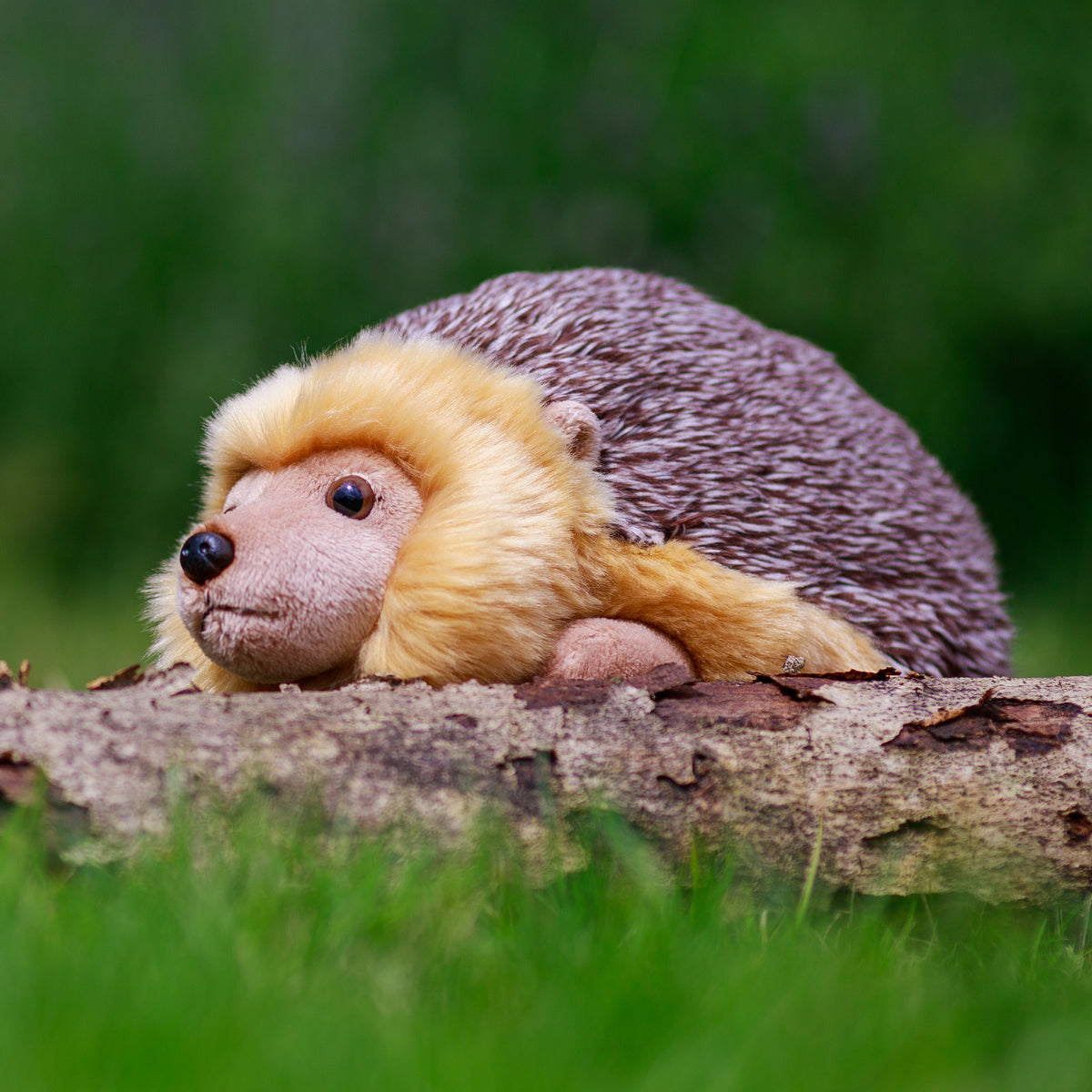 ANIMIGOS WORLD OF NATURE HEDGEHOG – One For Fun