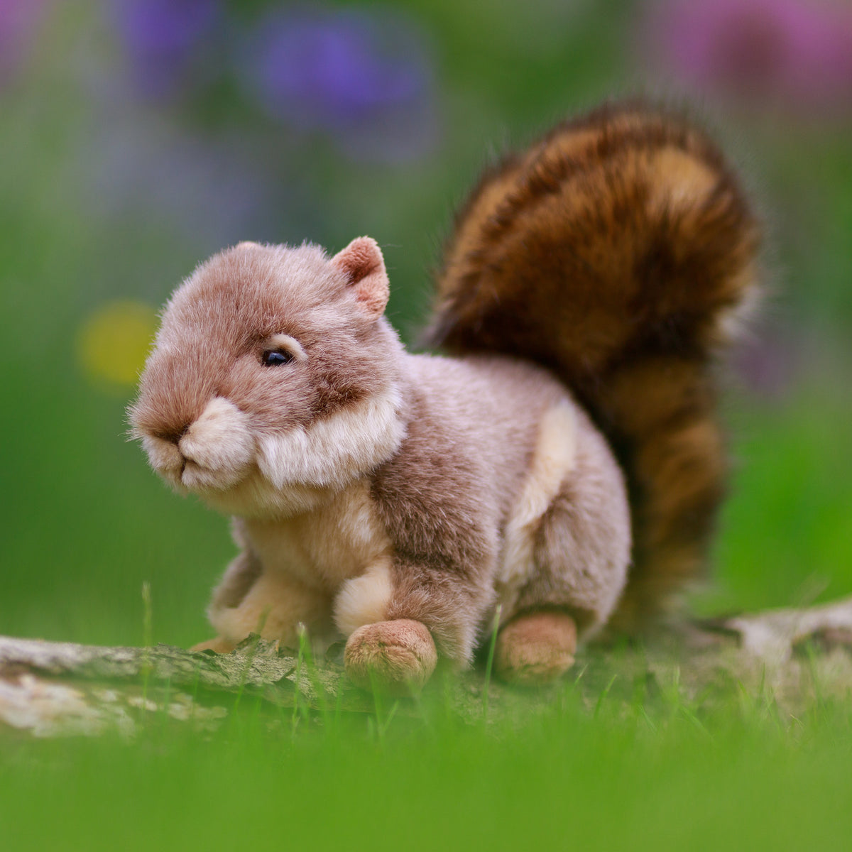 ANIMIGOS WORLD OF NATURE GREY SQUIRREL – One For Fun